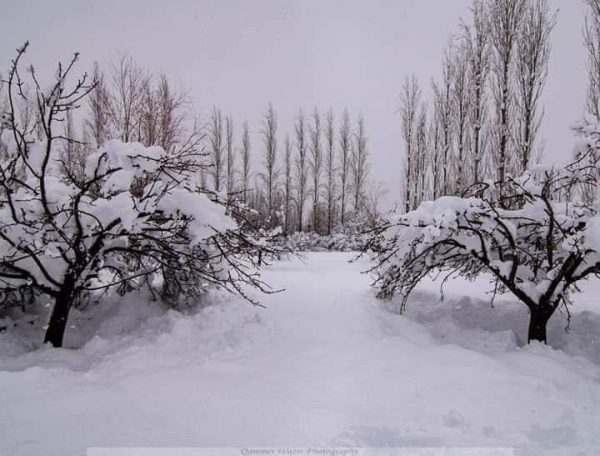 Top 10 Places to see Snowfall in Pakistan - Ghoomlo.pk